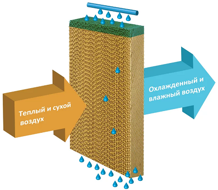 Duct humidifier: varieties, scope and purpose